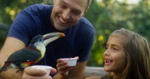 Saiba mais sobre o Explorer's Aviary do Discovery Cove